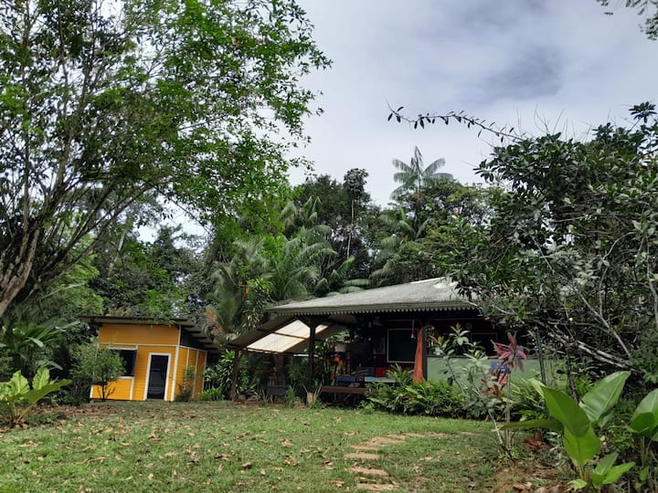 Carbets Dans La Forêt Guyanaise ! - French Guiana