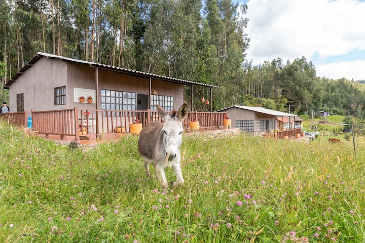 Santa Teresa De Las Flores: Finca Completa - Sogamoso
