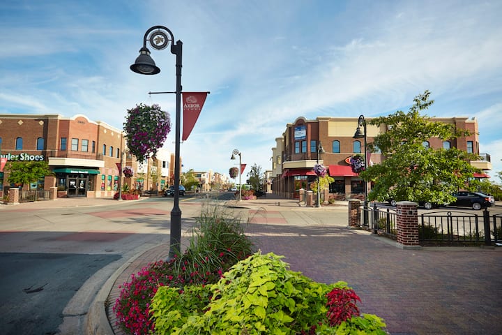 Serene Getaway In Plymouth, Mn! - Plymouth, MN
