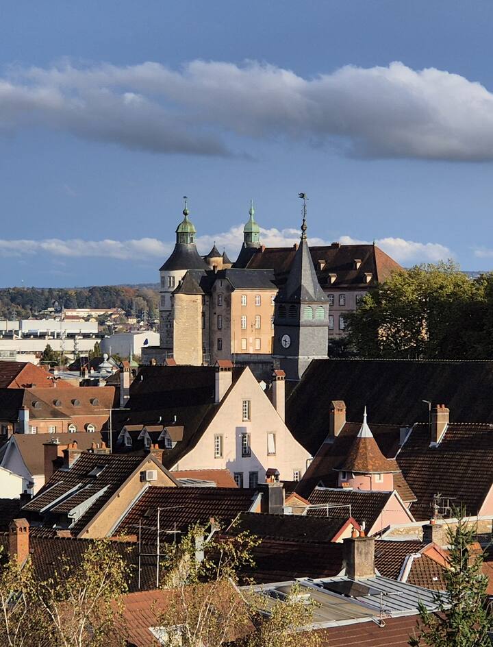 50m2 Vue Sur Le Château - France