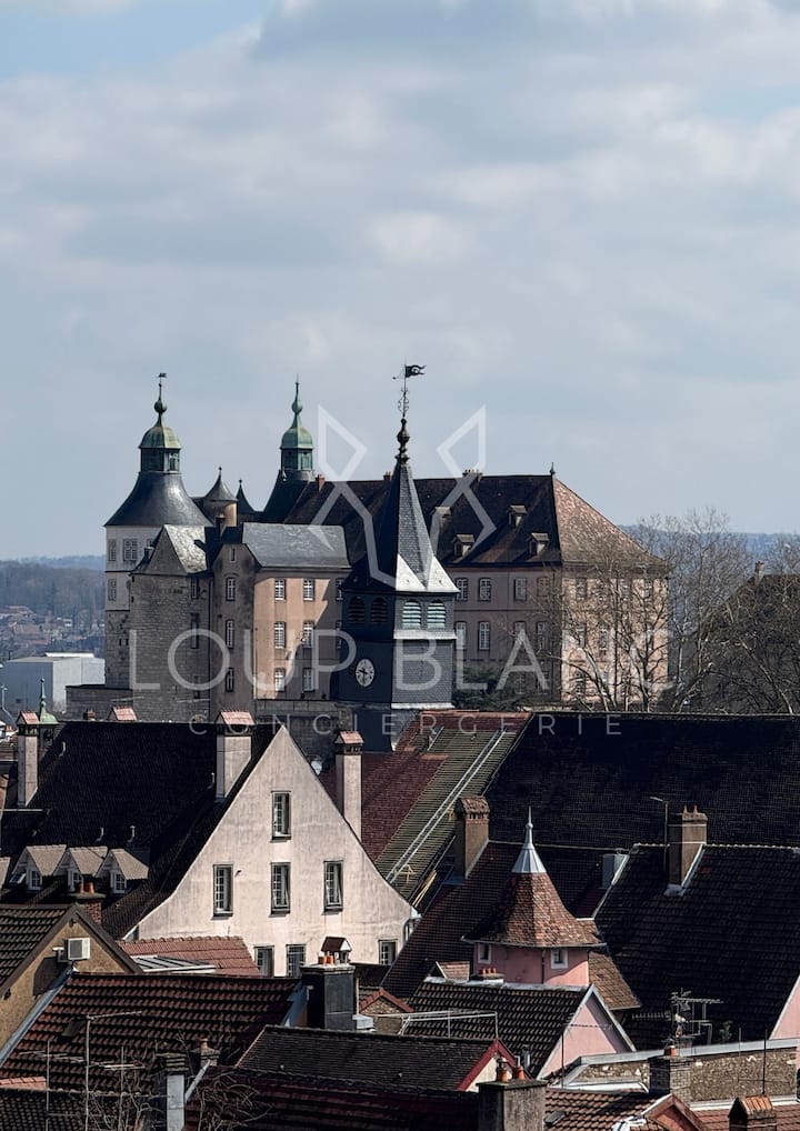 50m2 Vue Sur Le Château - Confortable - Sochaux