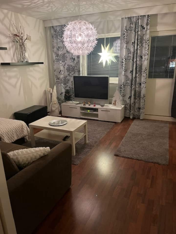 Kaksio Keskustasta Yksityisellä Saunalla - Rovaniemi