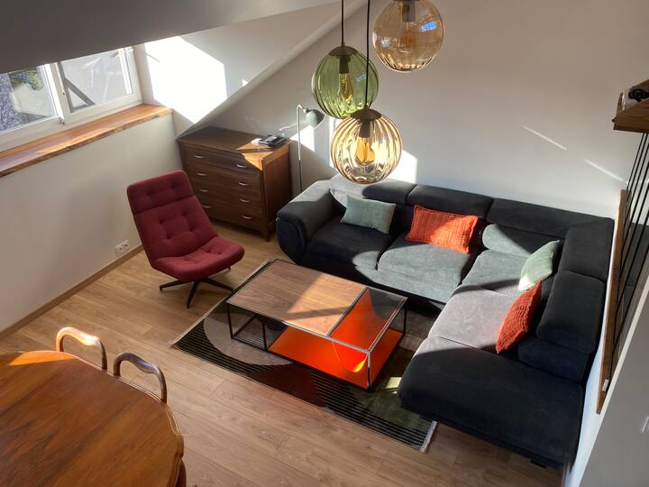 Grand T1 Familial, Vidéoprojecteur, Superbe Vue ! - Allevard