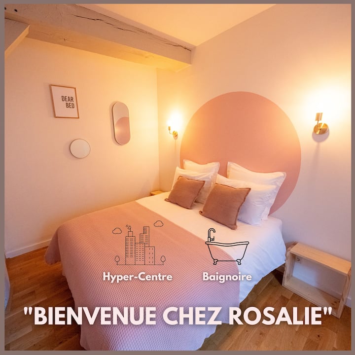 "Rosalie", Au Cœur Du Centre Historique - Troyes