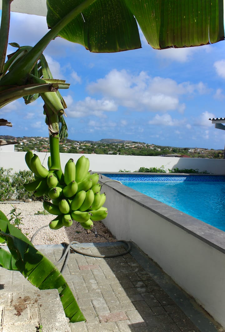 Studio Lumineux Près De Jan Thiel Beach - Curaçao