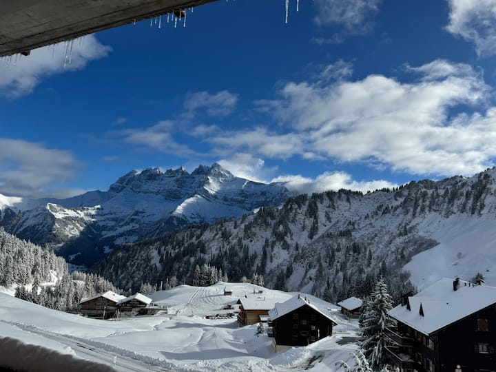 Les Lupins Aux Crosets - Val-d'Illiez