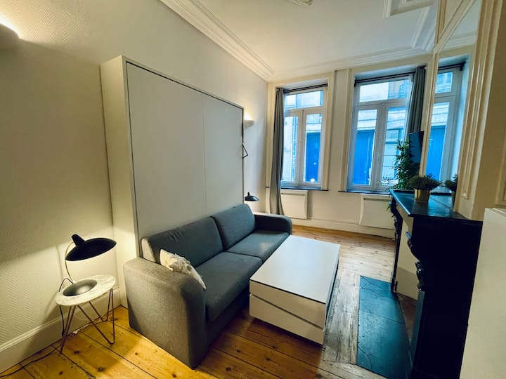 Appartement Dans Le Vieux Lille Avec Terrasse - Lila