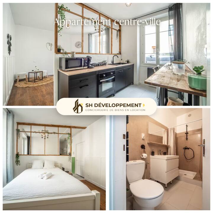 Appartement Centre-ville - Chalon-sur-Saône