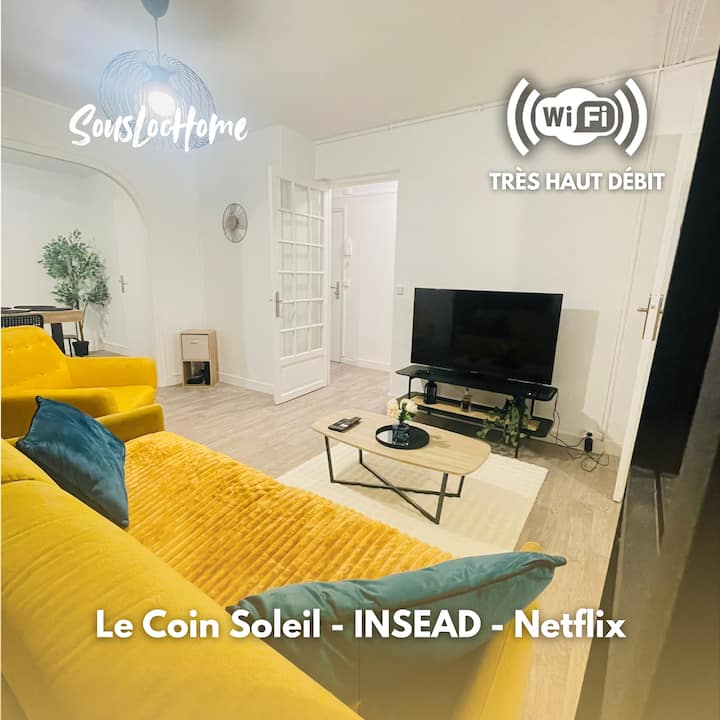 Le Coin Soleil • Netflix• Insead - Fontainebleau