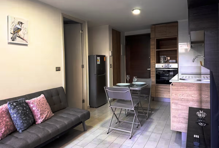 Apartamento En El Centro De Santiago. - Independencia