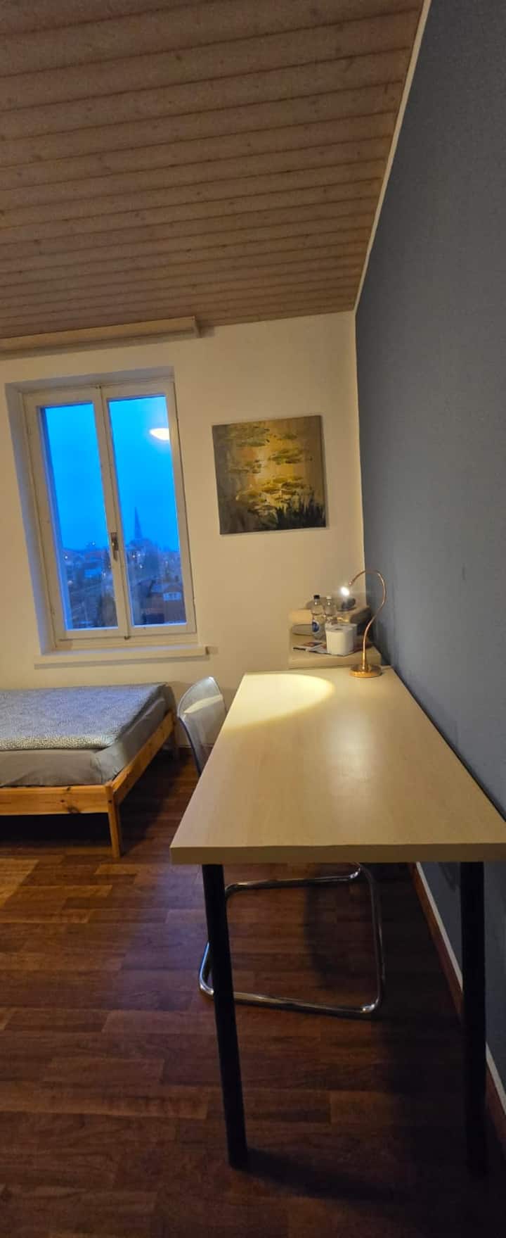 Bright Room - Centrally Located In St. Gallen - St. Gallen