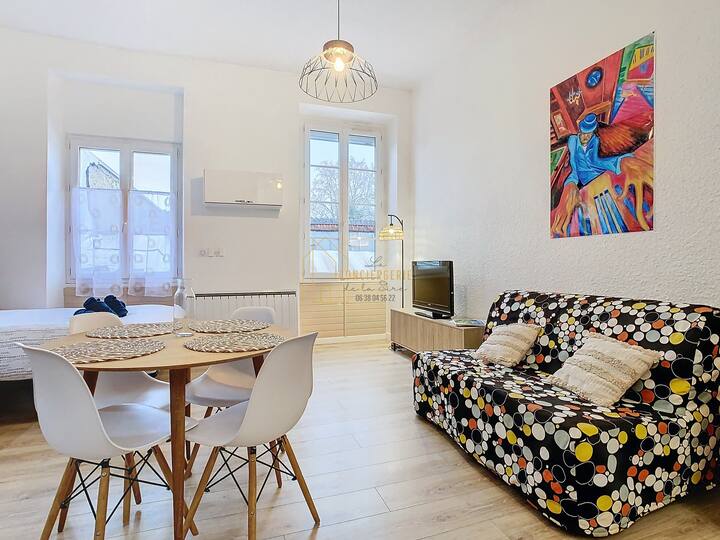 Le Pianiste : 30m2, 4 Pers, 2 Pas De La Gare - Voiron