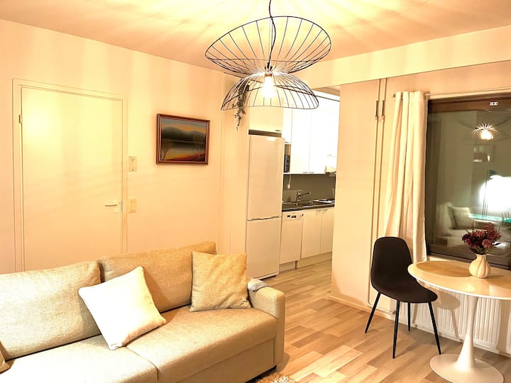 Lapland Escape: Cozy, Equipped & Free Parking - Rovaniemi