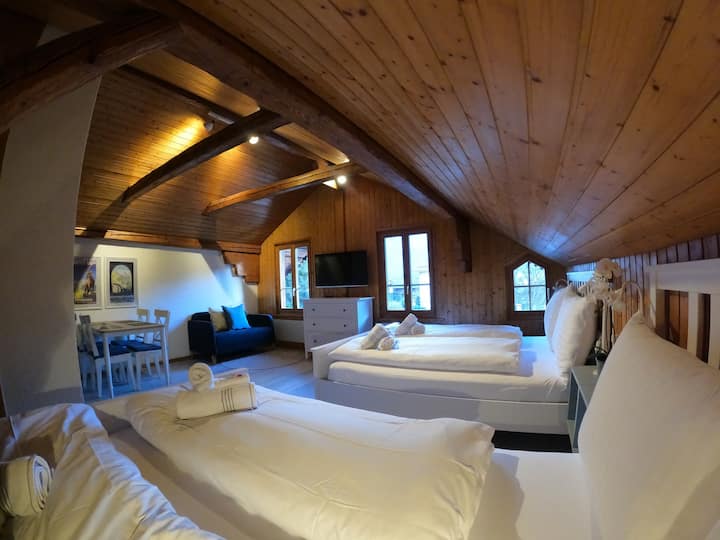 Panorama Apartment - Wilderswil