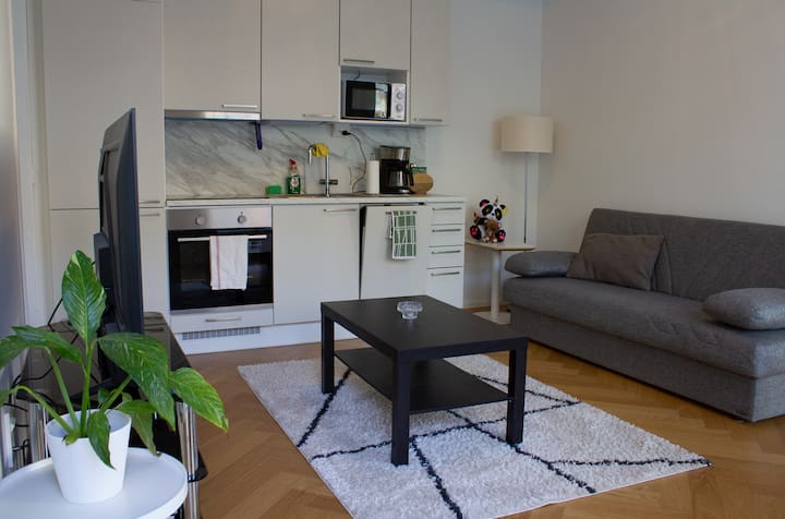 Viihtyisä Kaksio Keskeisellä Sijainnilla - Tampere