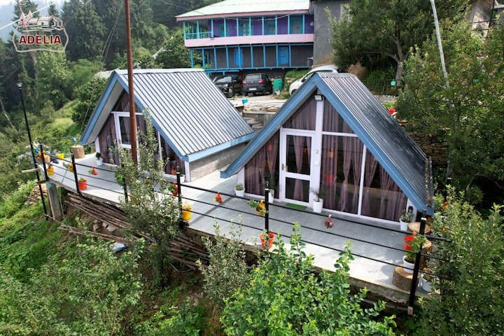 3 Wooden Cottages In Narkanda | Bonfire | Offbeat - Narkanda