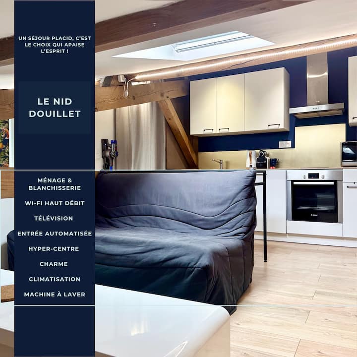 Le Nid Douillet - Clim - Fibre - Charme - Mont-de-Marsan