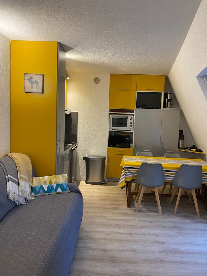 Appartement 2 Pièces Aux Pieds Des Télécabines - Cauterets