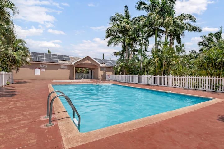 Suzanne's Sogno - Kingston