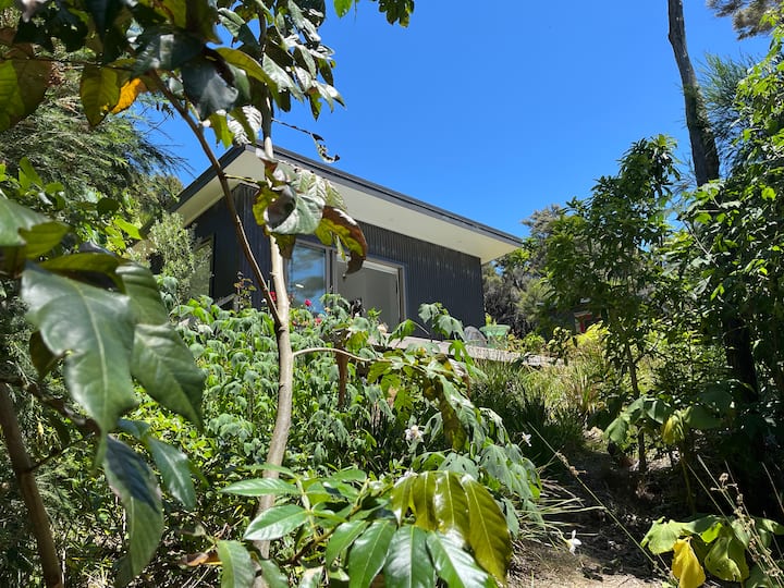 Little Forest Of Kai - Eco Cabin - Northland