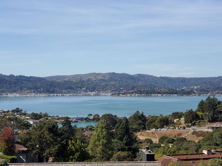 Modern Tiburon Condo With Bay Views - Tiburon