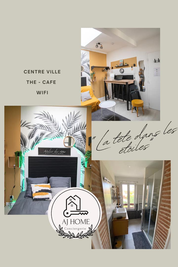 "La Tête Dans Les éToiles" - Studio Centre Ville - Montauban