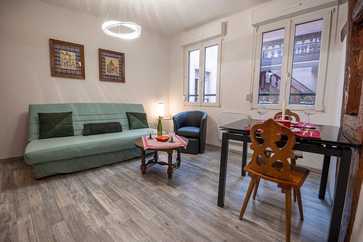 Cocon Alsacien Sélestat – Centre Historique - Sélestat