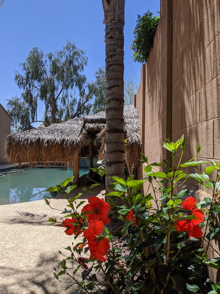 Desert Oasis Family Retreat - Peoria
