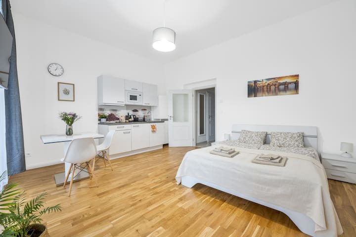 New Apartment In The Heart Of Prague - Czechy