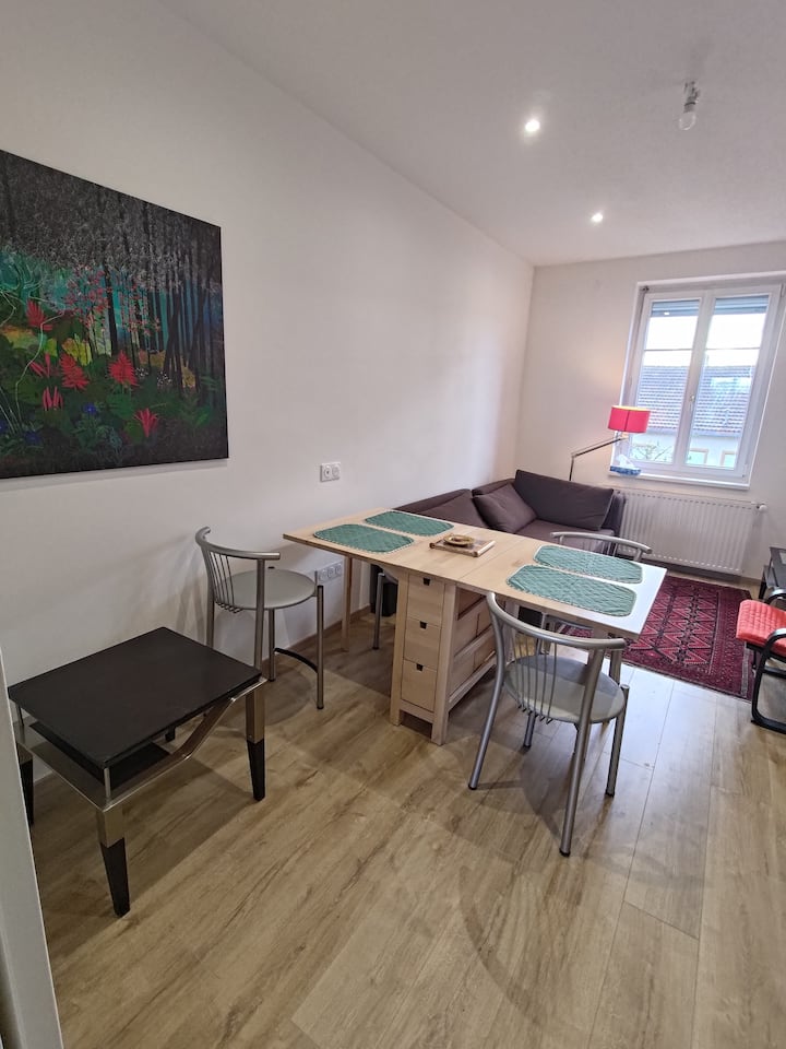 Strasbourg à Vos Pieds- 3 Pièces Calme Et Lumineux - Bischheim