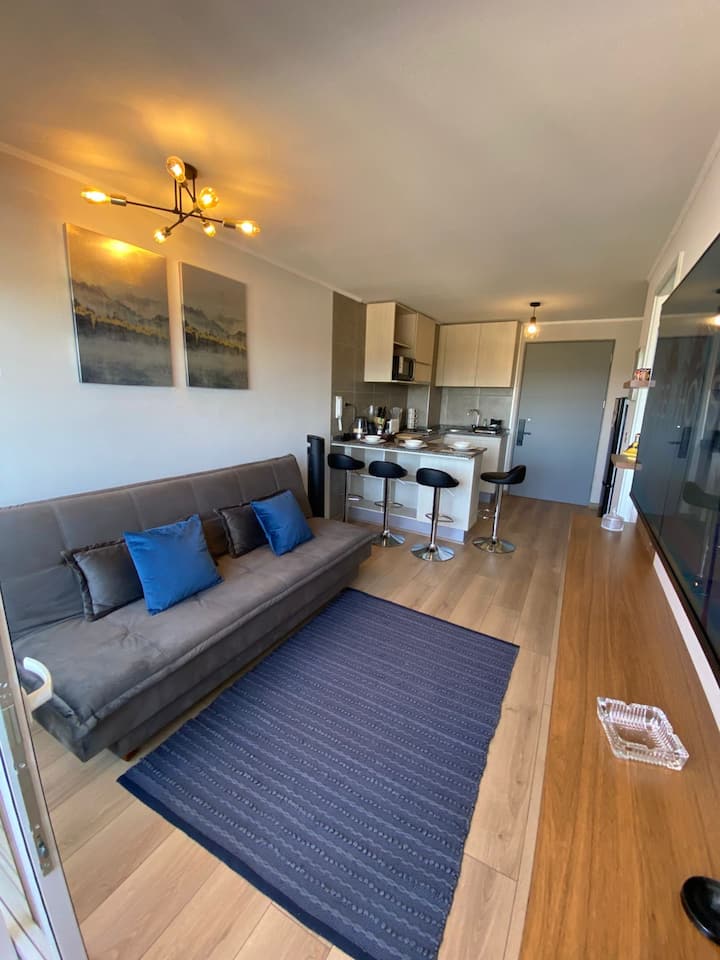 Departamento A Pasos Del Metro. - Independencia