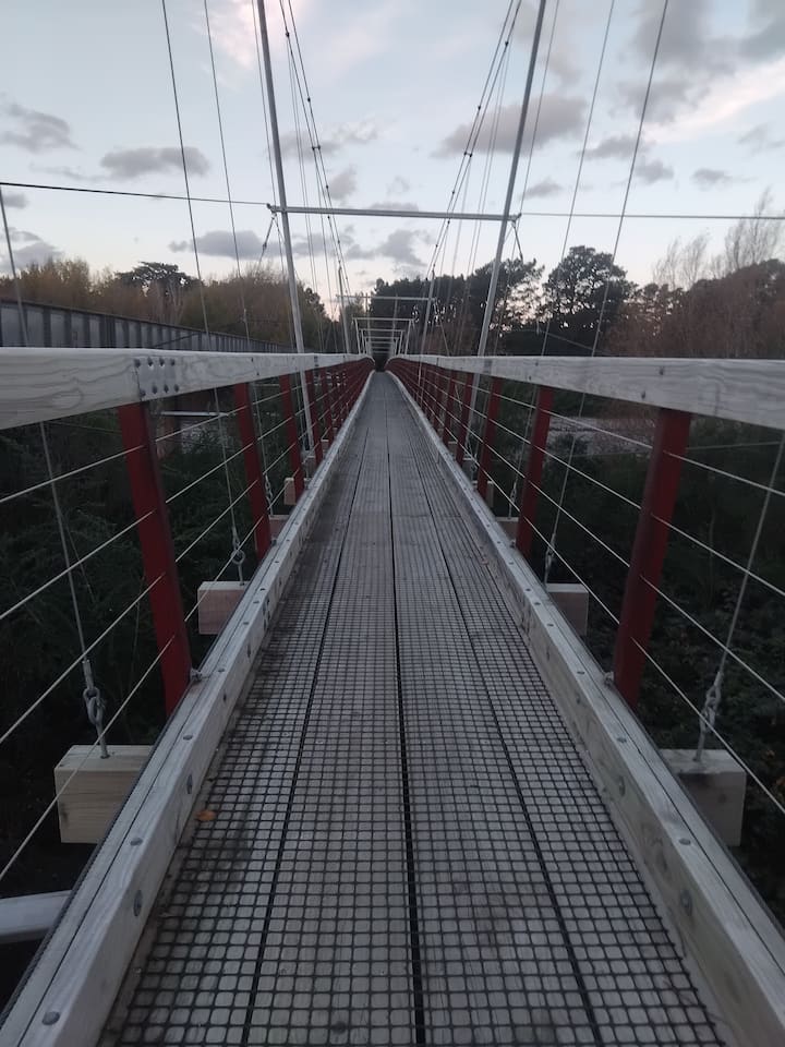 Featherston
Woodward Cabin
Include Hired Ebikes - Featherston