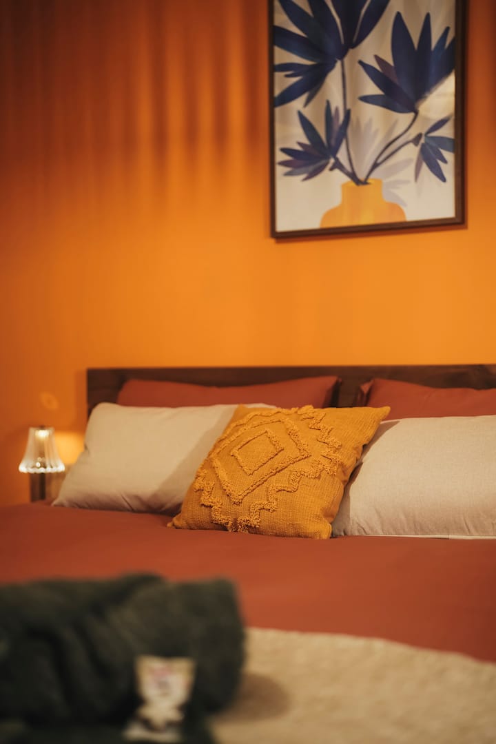 Pisana House - Appartement De Charme Tout Confort - Annemasse