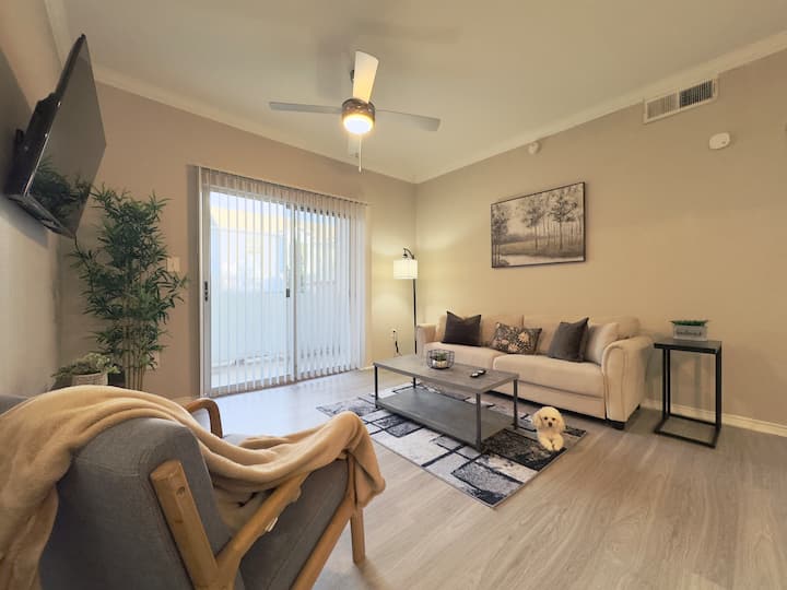 Chic & Charming 1bd | Pool, Gym In Dallas/plano - Carrollton, TX