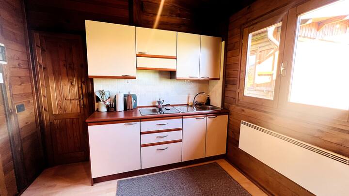 Chalet #5 At Private Lake - Pets Welcome - Carinthia