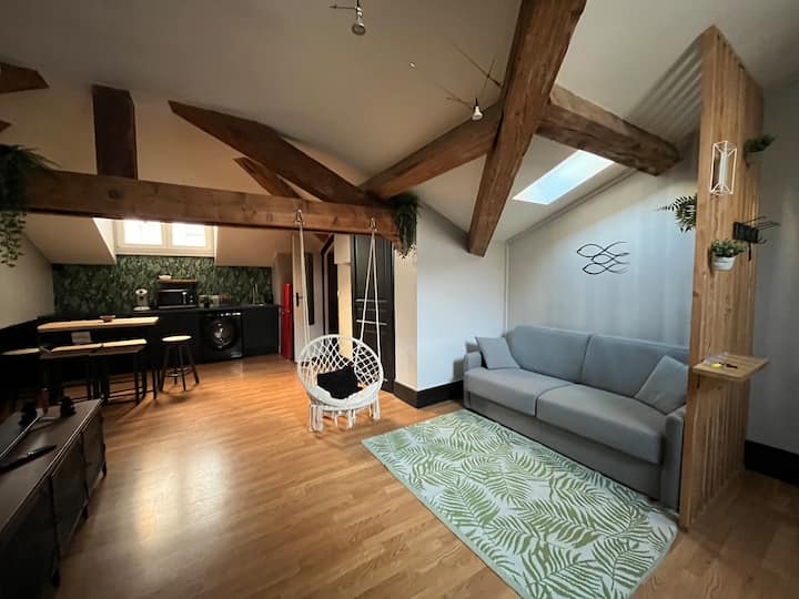 Appartement Atypique Pour 6 Personnes - Part Dieu - Parc de Gerland - Lyon