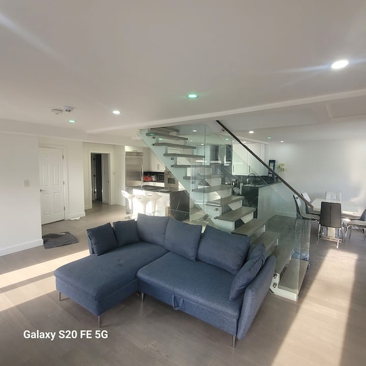 Newly Renovated Modern Home - Toronto