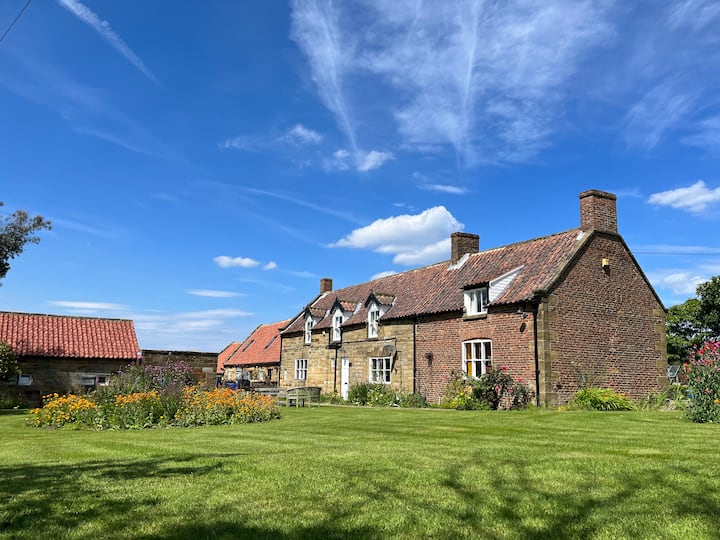 Wainwright - Long Lease Farm - Ravenscar