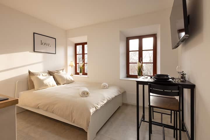 Apartments Napoleon | Studio 2 | Excellent Access - Liubliana