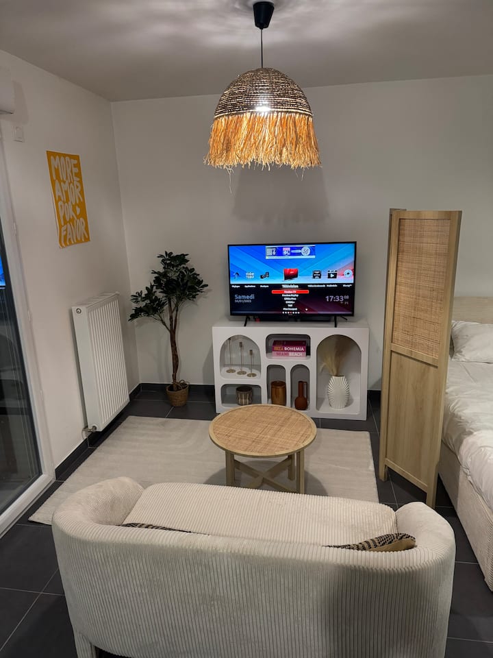 Studio Leman Ciel - Saint-Genis-Pouilly