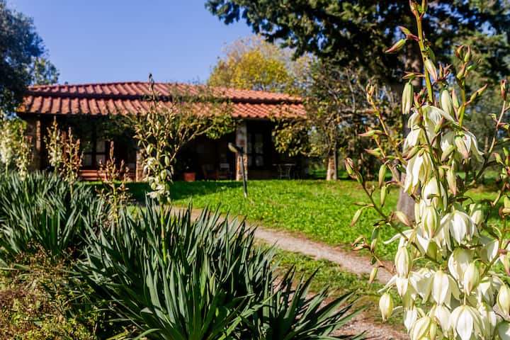 Villa With Terrace And Garden 20 Km From Follonica - Gavorrano