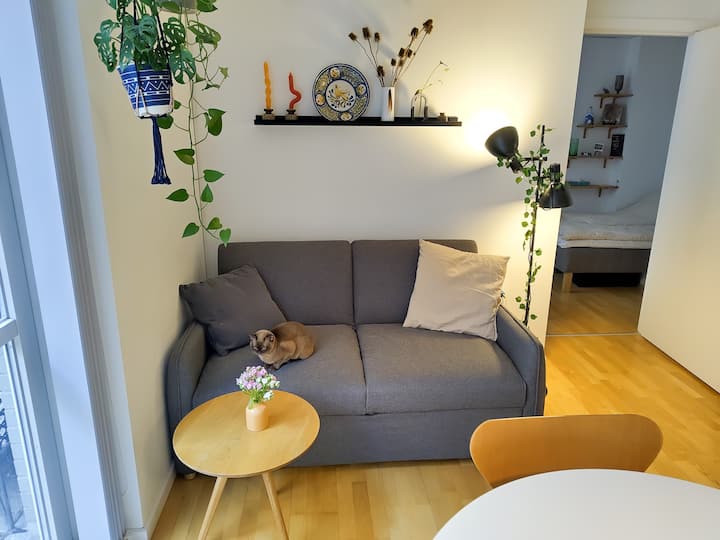 Cozy, Central, Ground-floor Apt - Copenhaguen