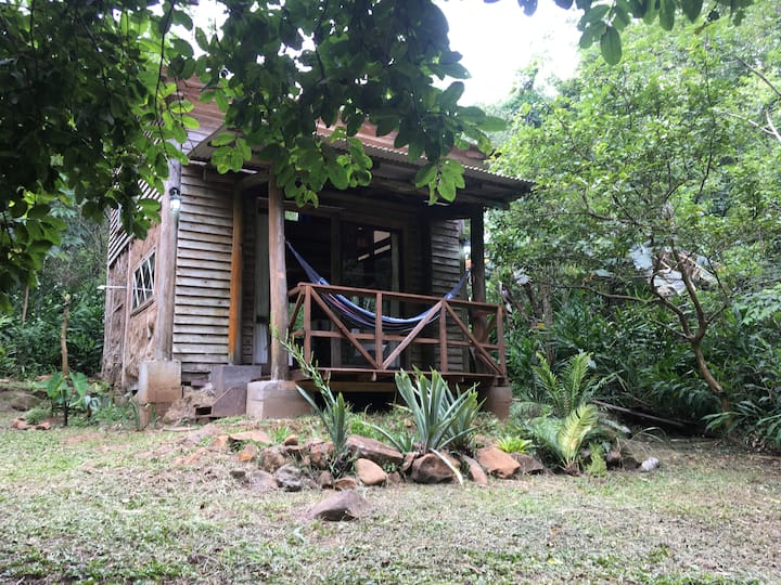 Retiro No Mato - Chalé  Na Mata Atlântica. - Maquiné
