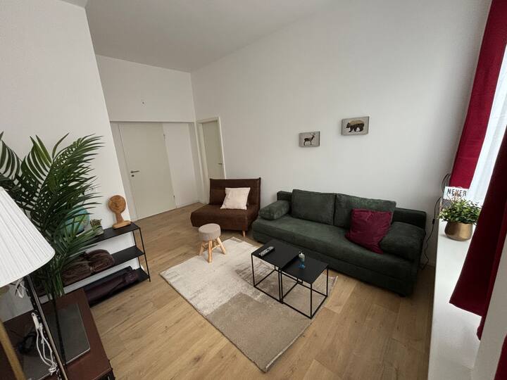 Apartment Ledermuseum - Frankfurt am Main