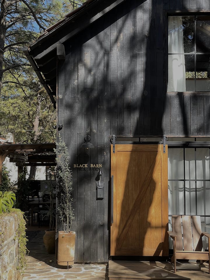 Diseño Y Comodidad En El Bosque-cabaña Centrica - Michoacán