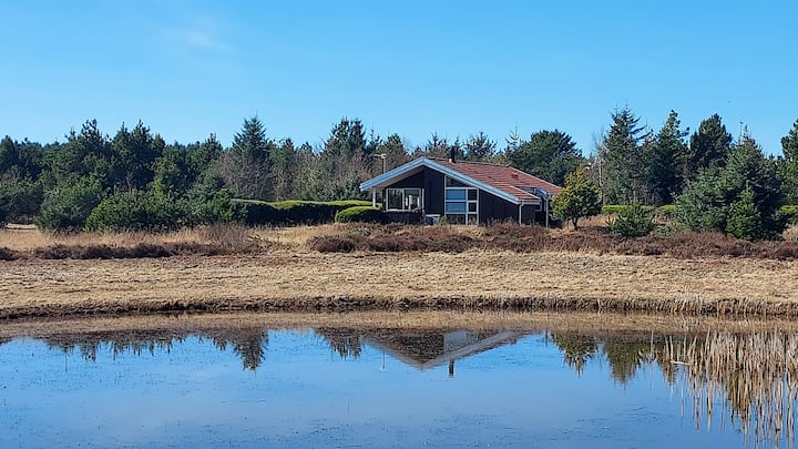 Vesterhav-udsigt Til Sø Og Hede - Denmark