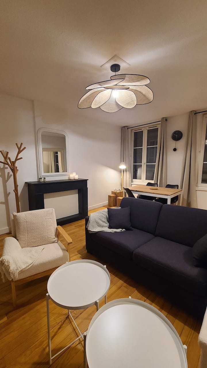 Appartement Du Grand Cerf - 메스