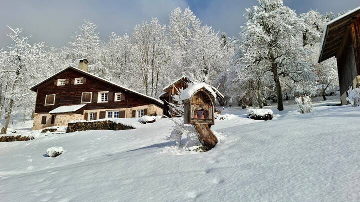 Grand Chalet Savoyard D'exception - Flaine