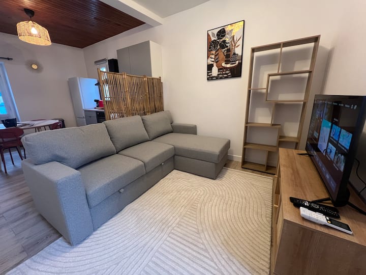 Le Russel - 1 Chambre - Halles Lourdes - Lourdes