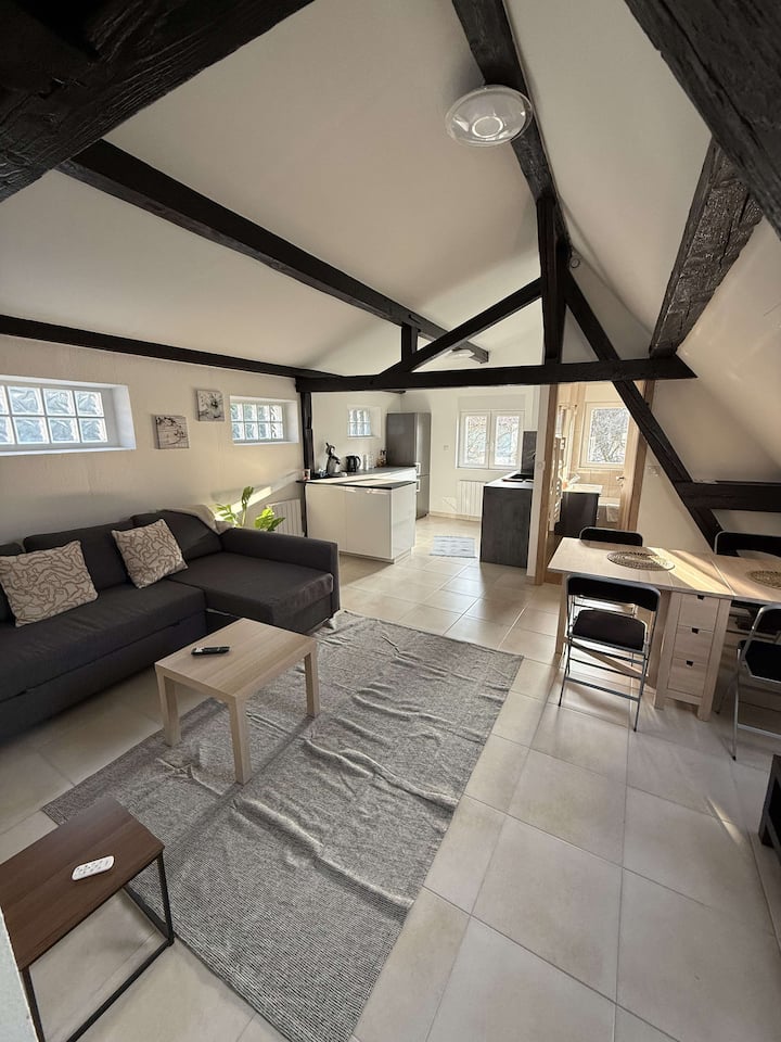 Appartement 50m2 Schiltigheim - Bischheim